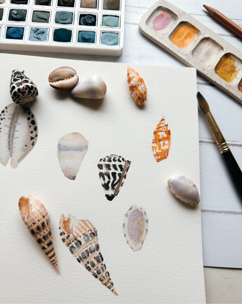 Seashell Watercolor Workshop – Ocean Paper